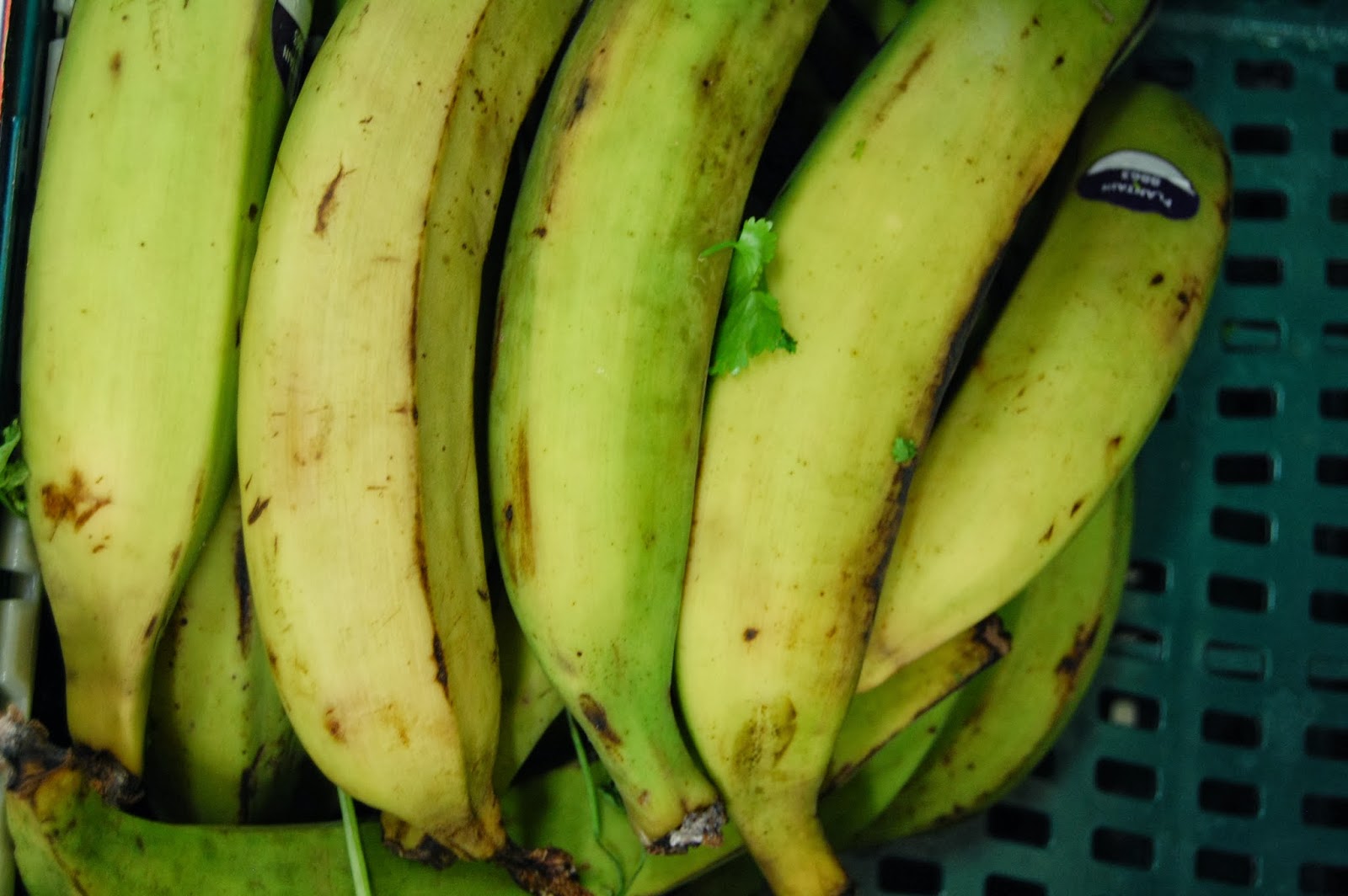 mugofstrongtea : Just what are those dudhi and mooli veg in my ...