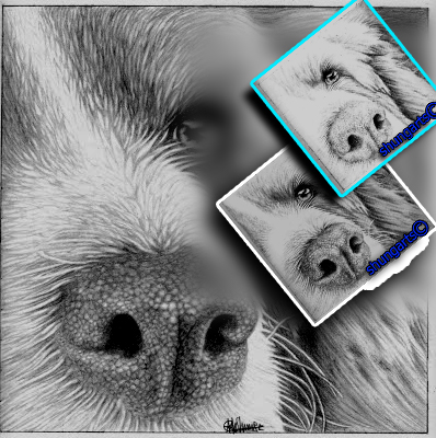 Learn to Draw Step by Step: Drawing a Dog