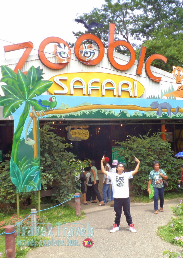 Clark-Subic Animalistic! Getaway - Travex Travels - Travel. Explore ...