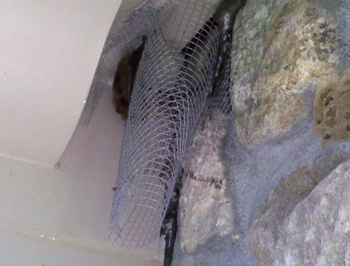 Precision Wildlife Services: August 2011