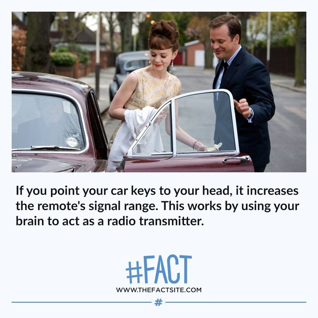 10 RANDOM TRUE FACTS – FUN FACTUAL ACTUAL FACTS 3 | Amazing WTF Facts