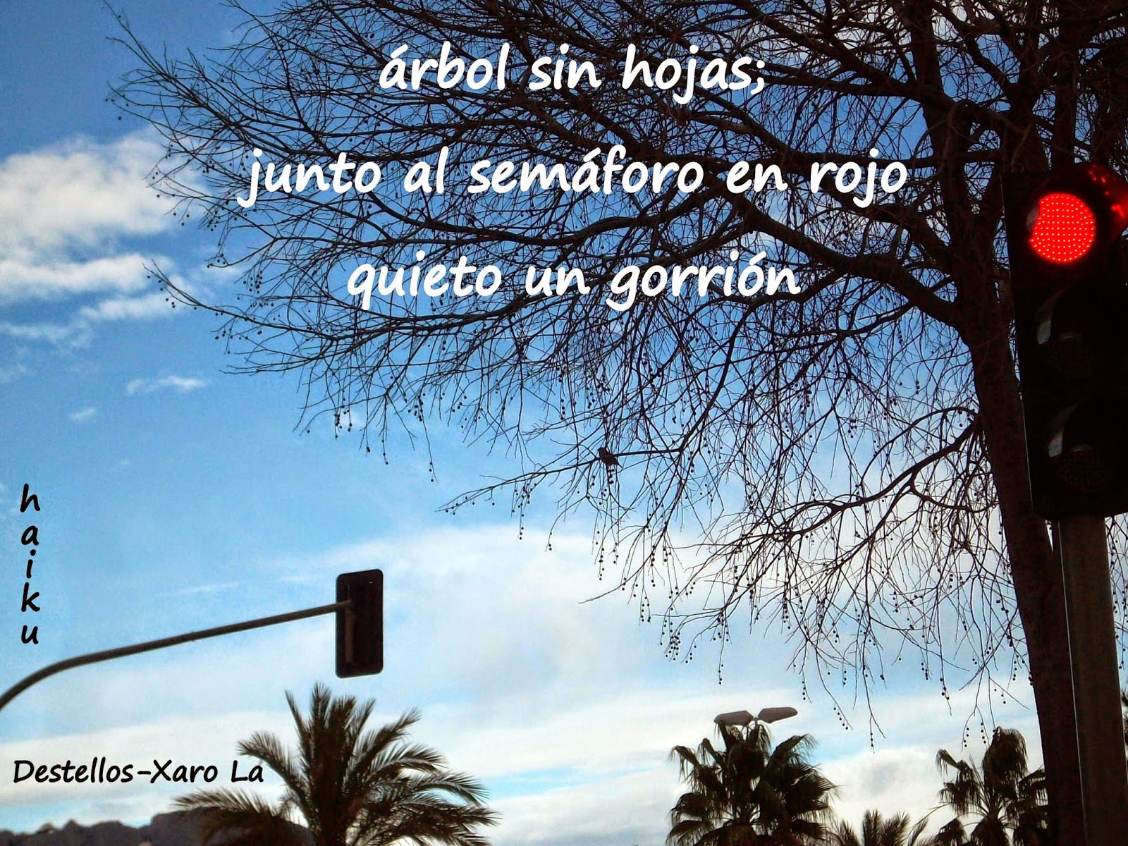 Destellos. Haikus de Xaro La: Haiku "Árbol de otoño" 13/17