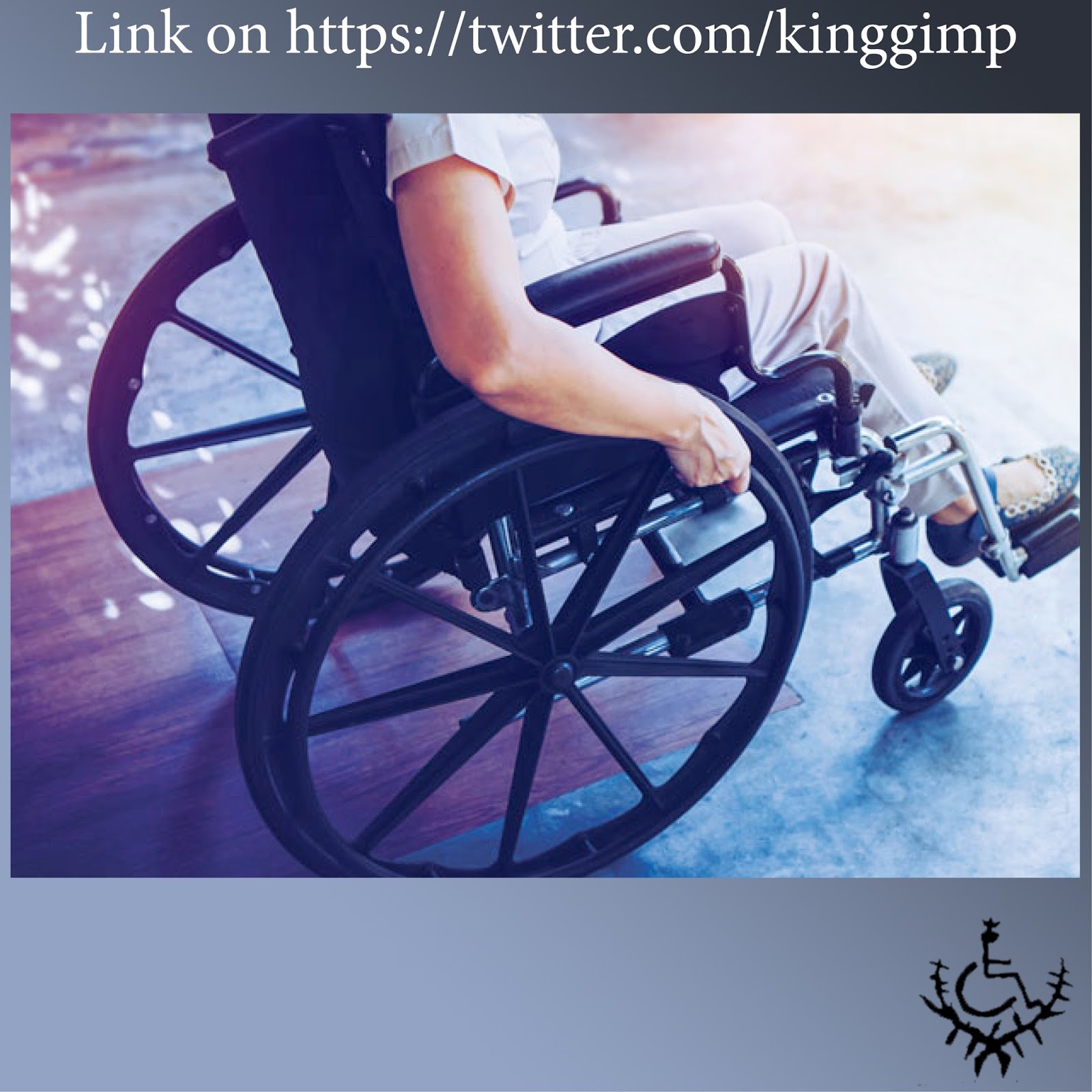 Dan K. King Gimp: The Disability Movement Then, Now and Future?