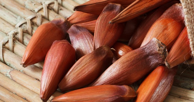 Sabor Básico: Pinhão e sua história - Post I de II