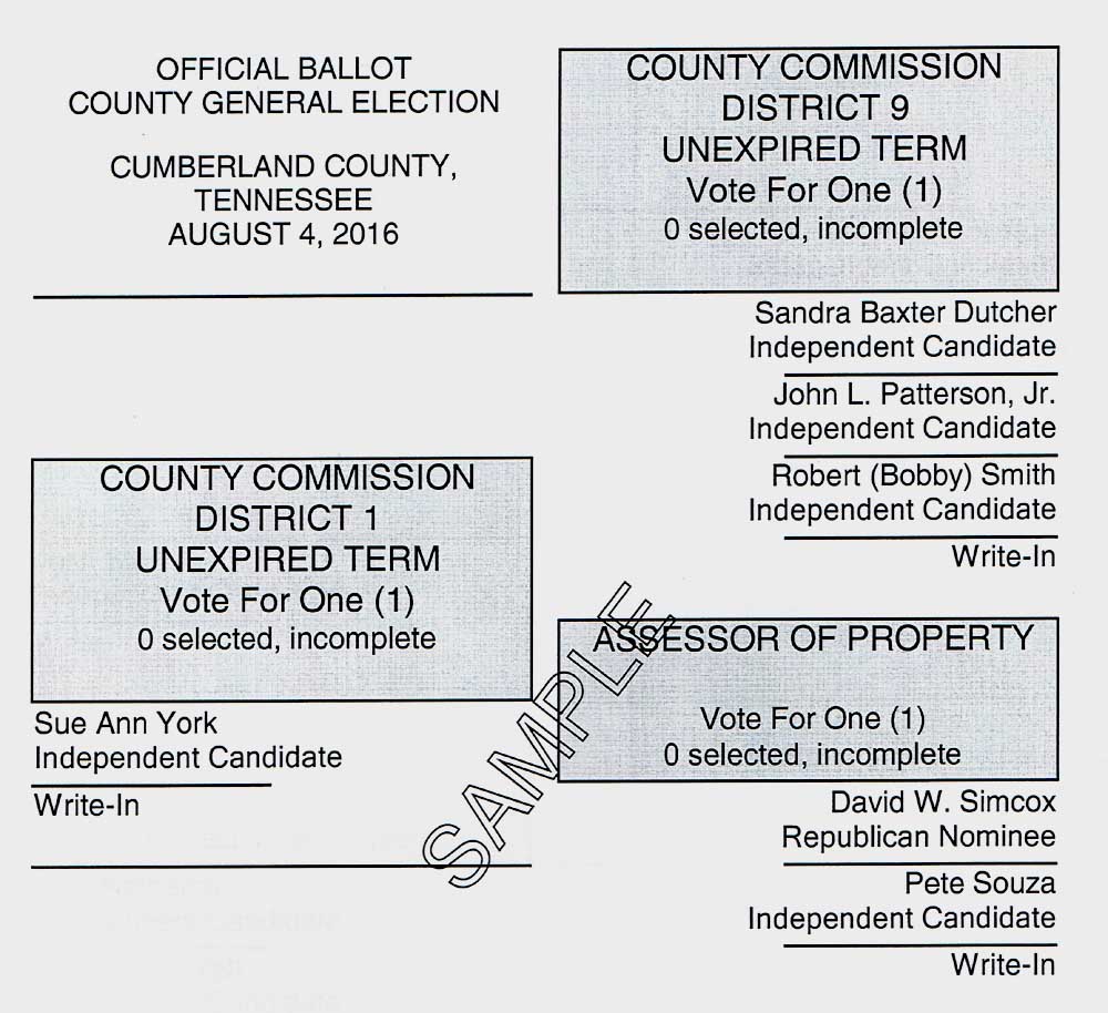 Jim Young Reporter: Election Day August 4. Polls open from 8 AM to 7 PM ...
