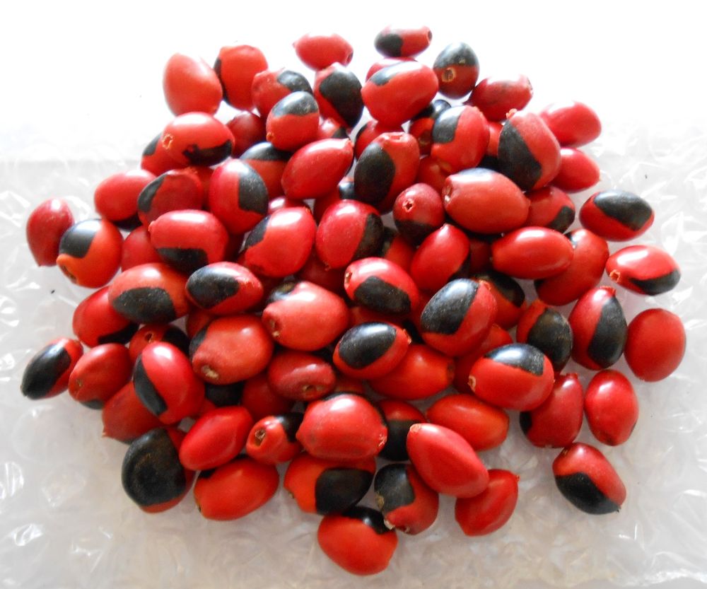 Artesanía y Bisutería Peruana: El Huayruro