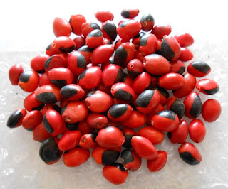 Artesanía y Bisutería Peruana: El Huayruro