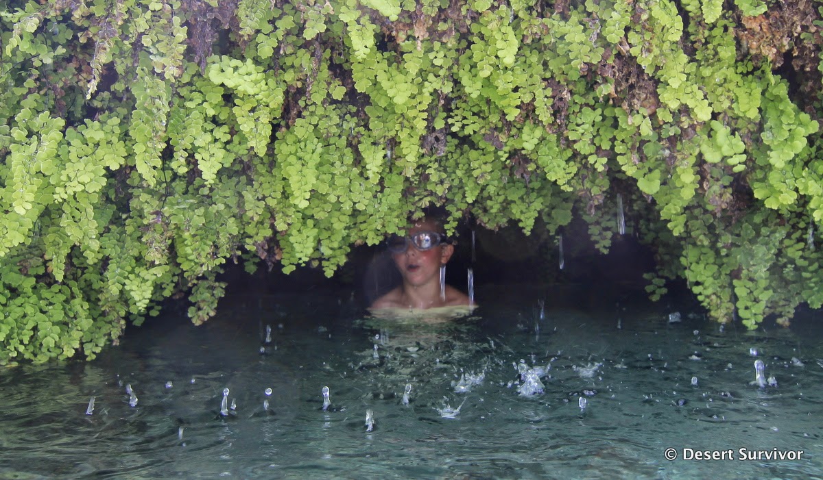 Desert Survivor: Gandy Warm Springs, Millard County, Utah
