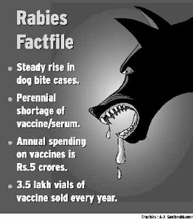 BIOLOGY WRITE-UP - BIOLOGY ARTICLES: THE RABIES" meaning, causes ...