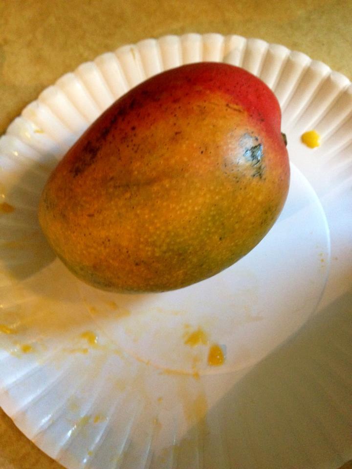 The Comforting Vegan : Organic Mango Sorbet