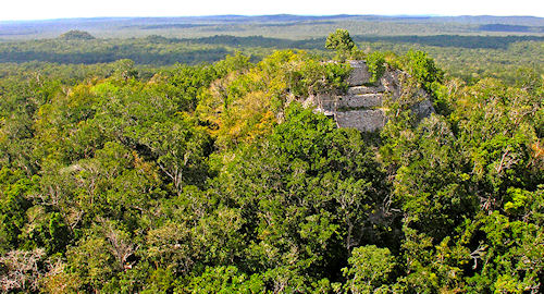 The Presurfer: 2,000-Year-Old Maya Superhighways Discovered In The ...