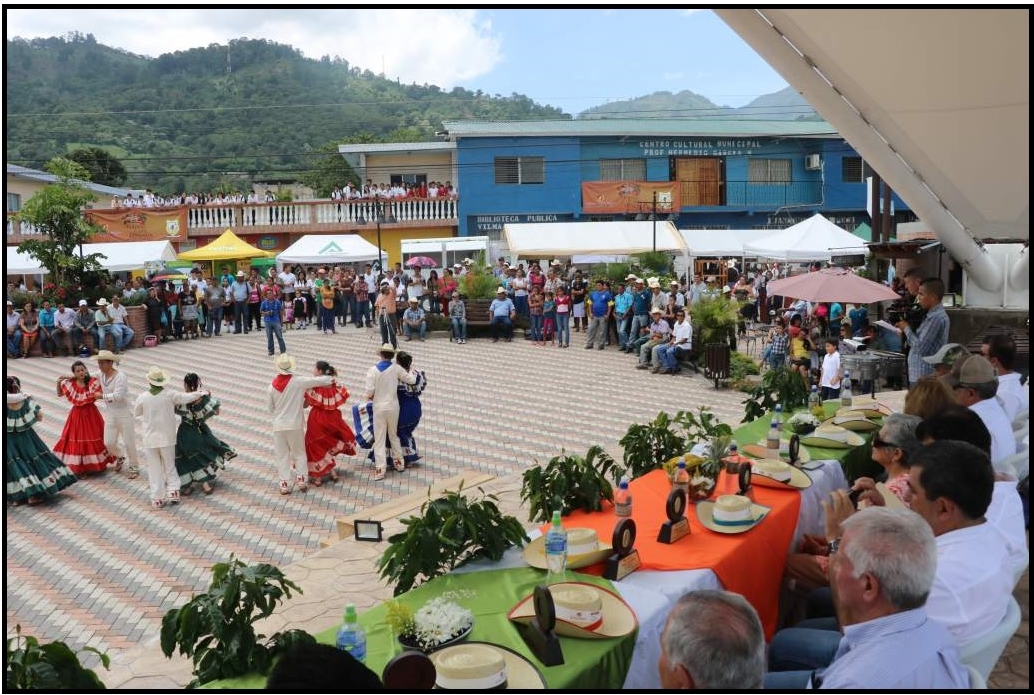 Café de Honduras - Con optimismo esperan próxima cosecha de café - Café ...