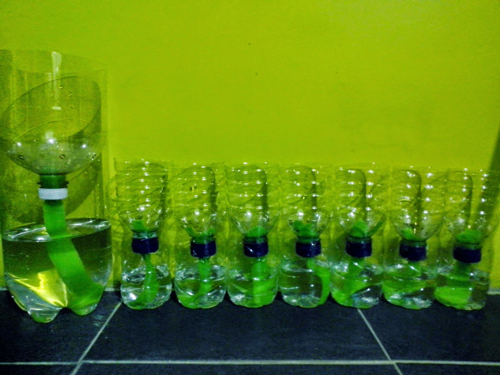 How to Build Wick Hydroponic System Using Plastic Bottle