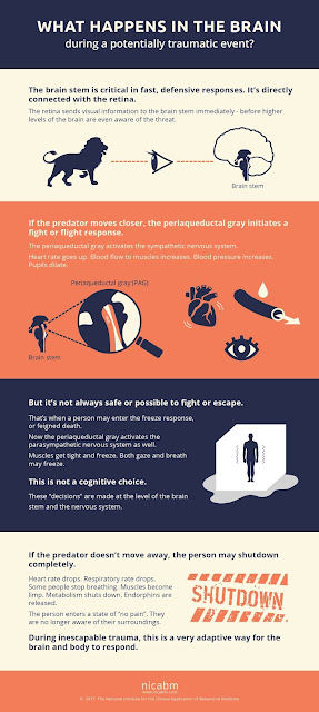 Lighting Up the Sky: Day 28 - A Whole Body Tragedy