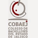 blog cobaej