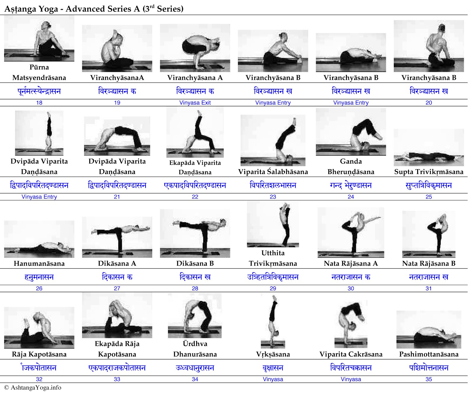 VIVI ASHTANGA PILAR: DOWNLOAD SERIES ASHTANGA