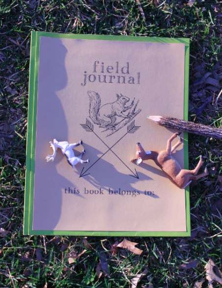 Different Dog - A Simply Beautiful Life: Wild Kratts Field Journal ...