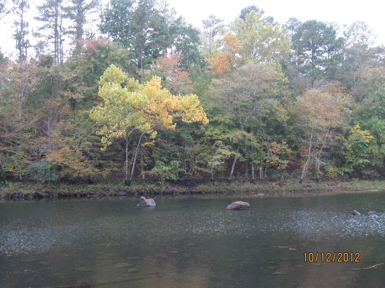 GrandmaSoucie Loves to Sew: Arkansas Countryside