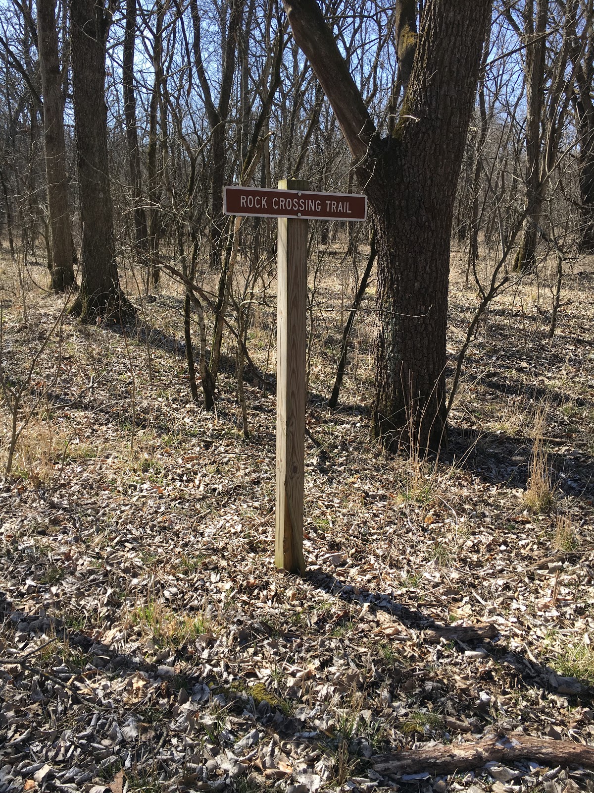 Backpacking Stephens State Forest - Woodburn Unit West Loop