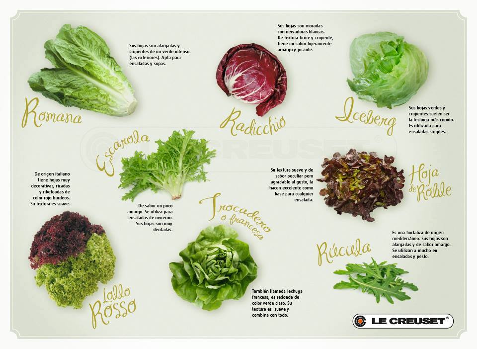 Aprendiendo a cocinar: Hortalizas I