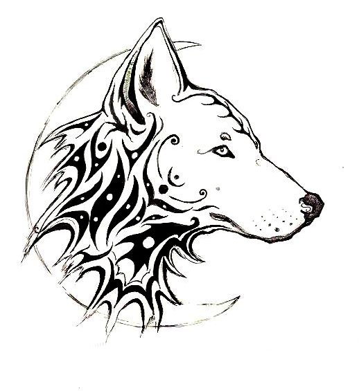 andriaj89: wolf tattoos tribal meanings