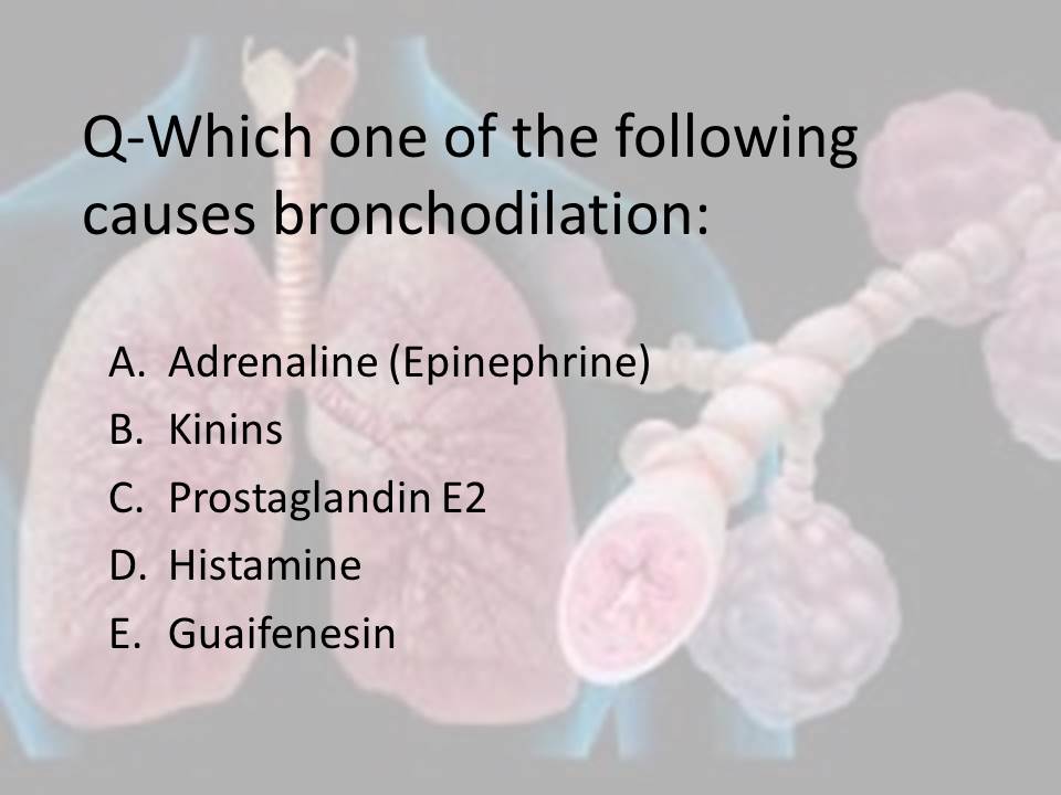 Pharma Tekk: Pharma BCQ- Bronchodilation