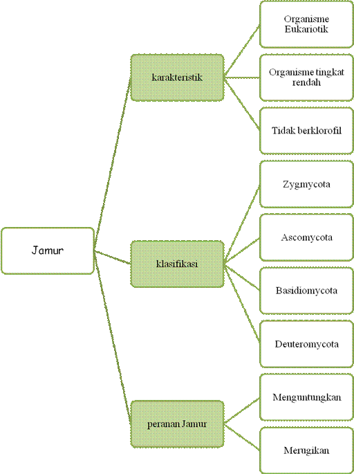 e-modul: E-Modul Jamur