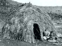 House Type - Goahti - World House Type