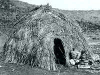 House Type - Goahti - World House Type