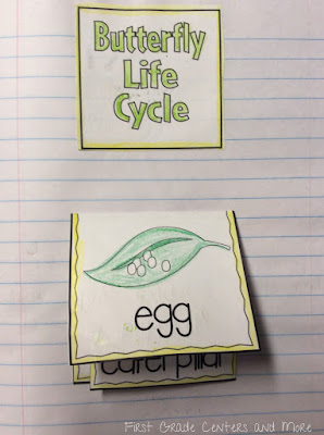 Interactive Science Notebook - First Grade Centers and More