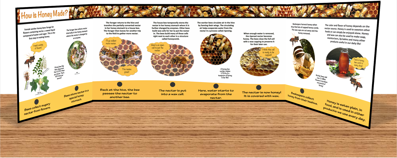 Bees Louise!: Lesson Plans and Activities