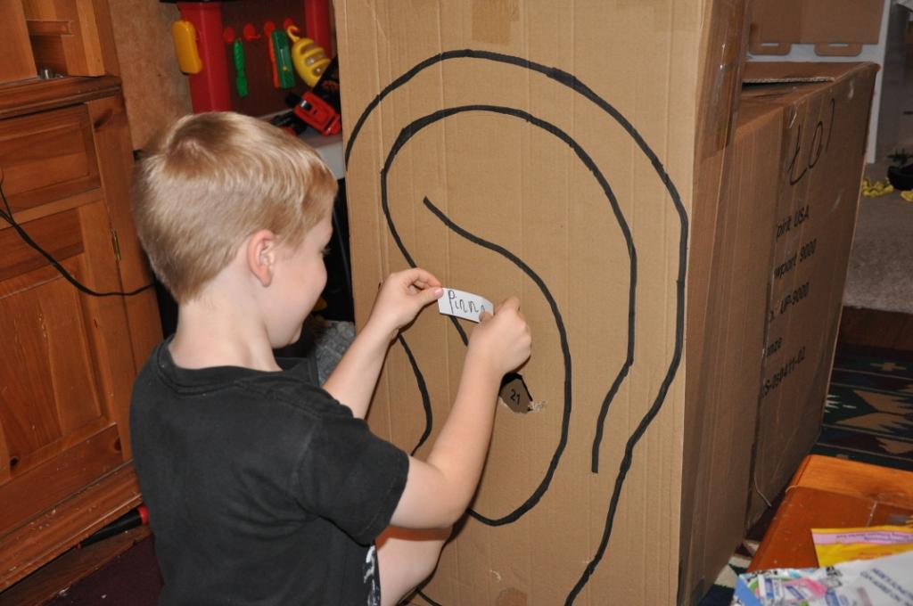 Savor The Days: Model of the Ear, Homeschool Style