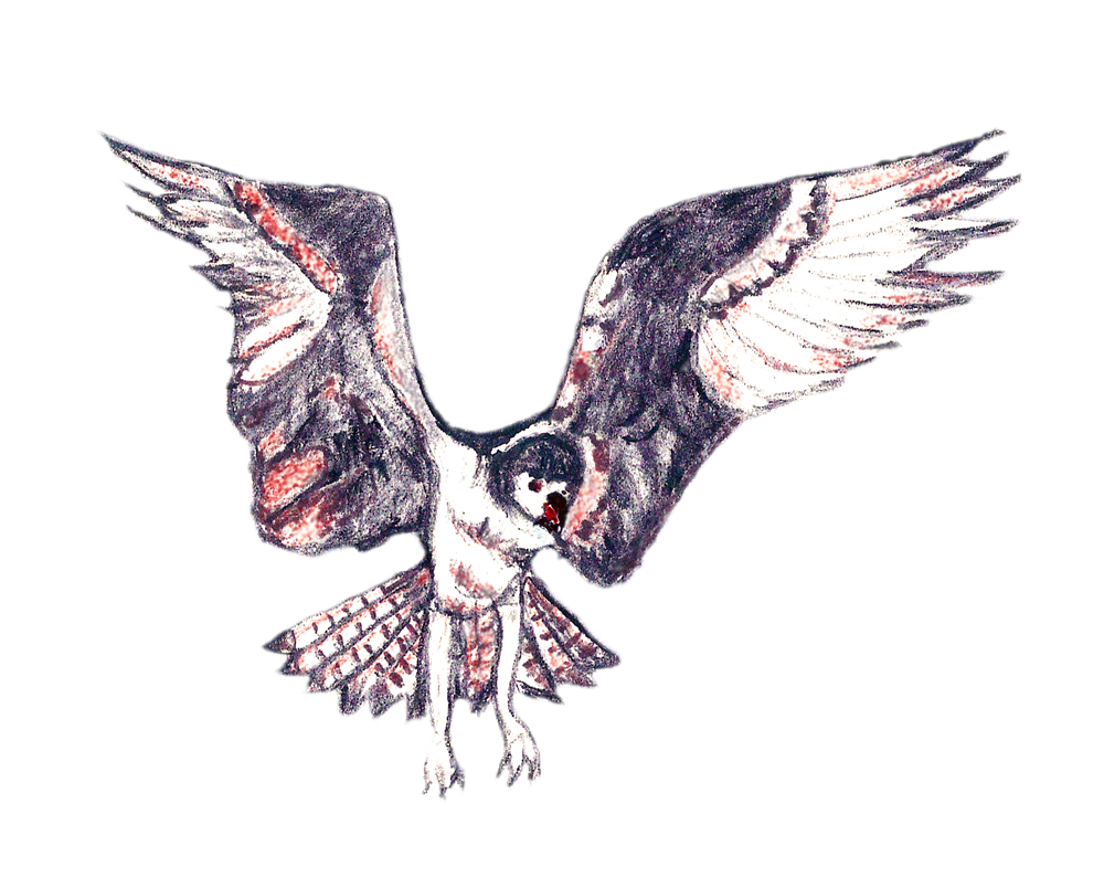 All the World's a Stage: Another Look at Landscapes | Cuttings from ...