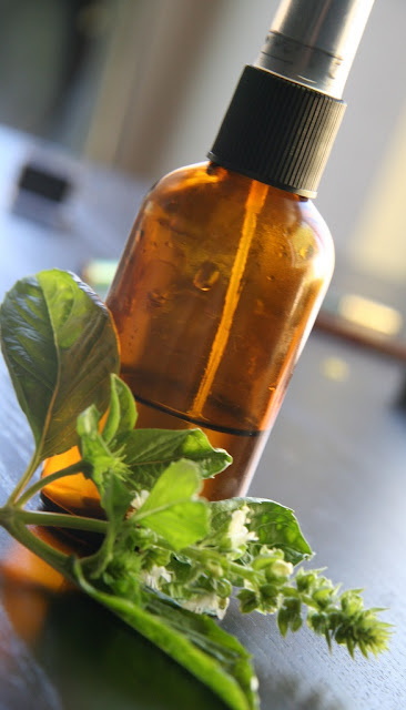 Basil: The Ultimate Guide