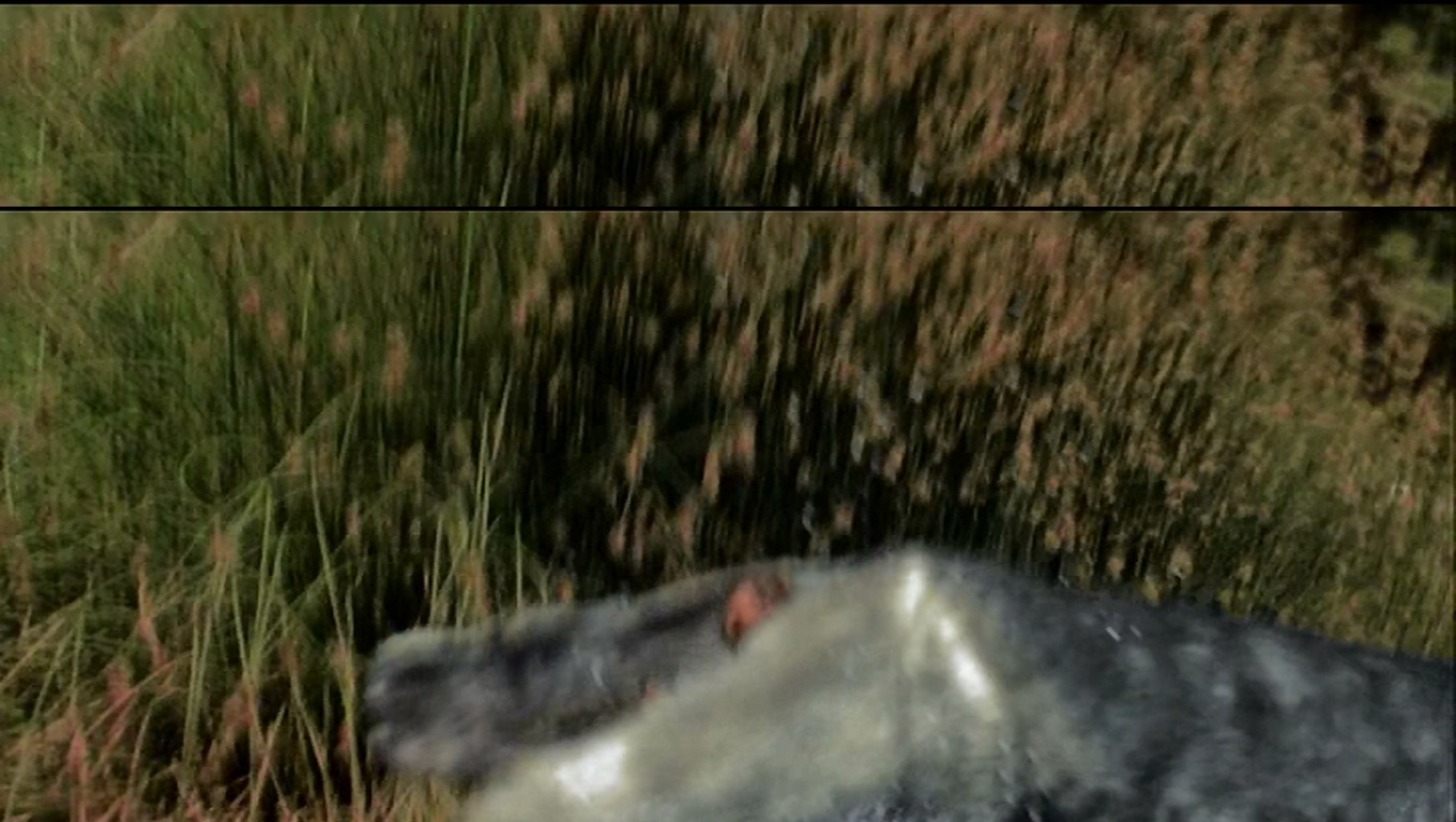 Rotten Reelz Reviews: SyFy Monster Movie Week: Mega Python vs Gatoroid