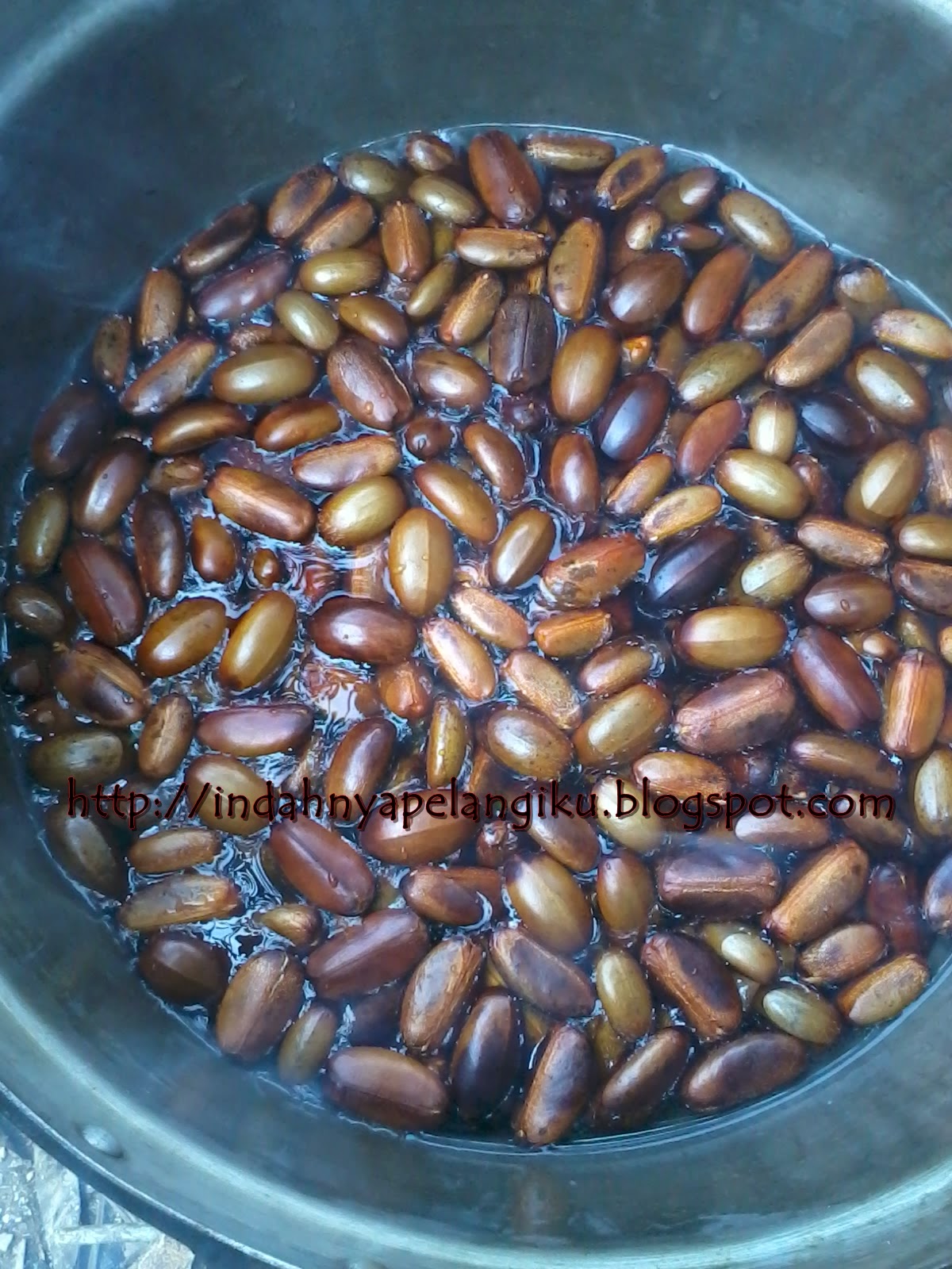 FATIN WAWA: Buah Perah