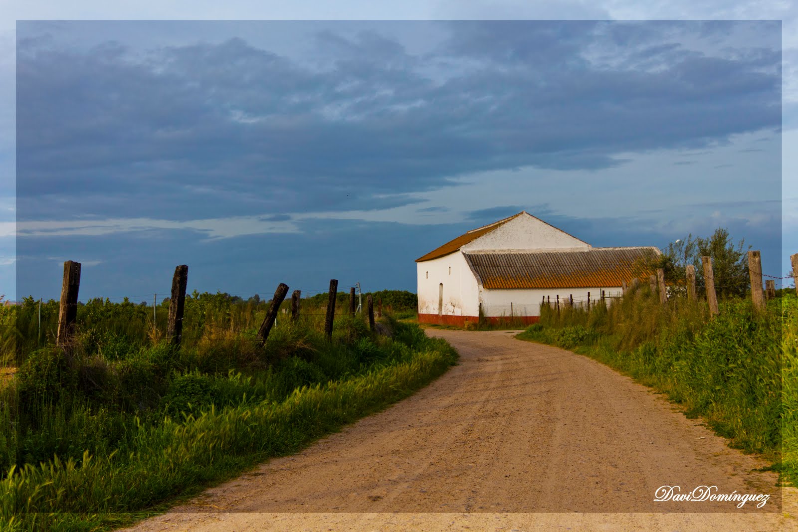 Estudiante de la luz: El Caserío