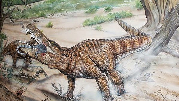 Top: Os 10 crocodilos extintos mais incríveis que você já viu