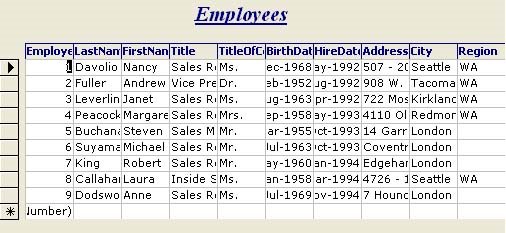 Custom Made Form Wizard ~ LEARN MS-ACCESS TIPS AND TRICKS