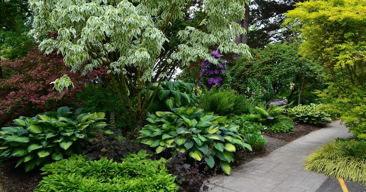 Linda Letters:: Sebright Gardens