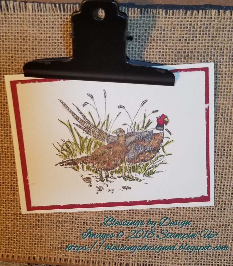 Blessings by Design: PLEASANT PHEASANTS STAMP SET!