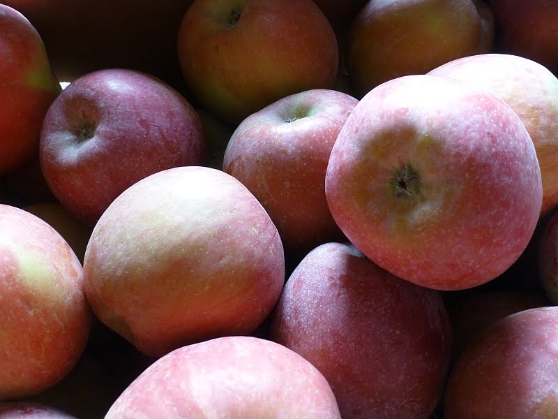 Rural Revolution: Canning apples