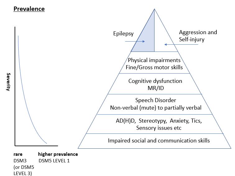 Epiphany: Autism as a Hierarchy of Impairments