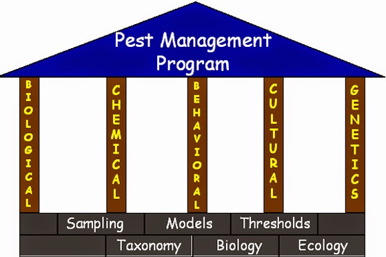 Living with Nature - School on Blog by Dr. Abercio V. Rotor: IPM ...