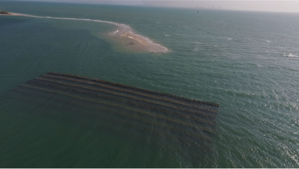 Tamil Nadu deploying artificial reefs to save sinking islands - TAMIL NADU