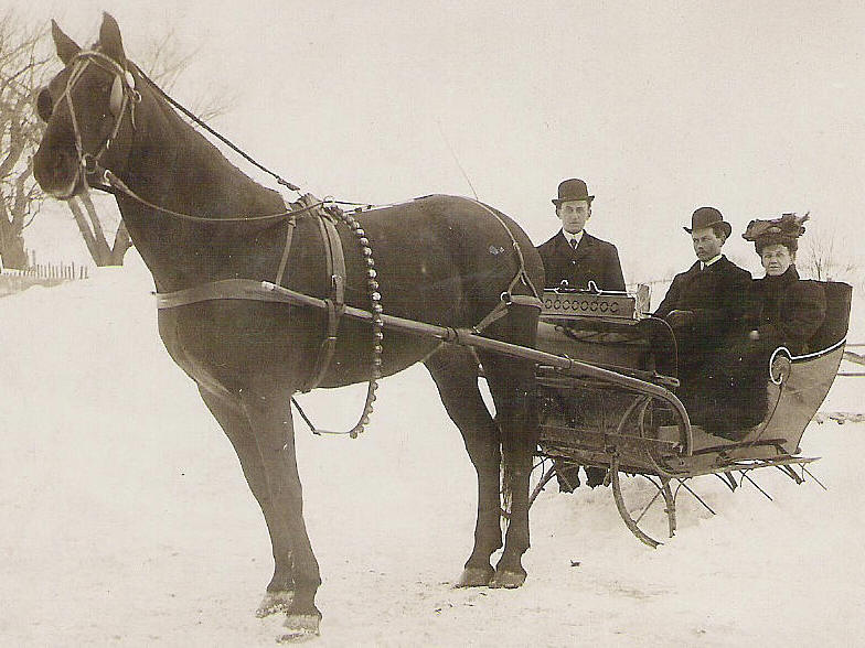 Camera on King & Aurora : One-horse open sleighs