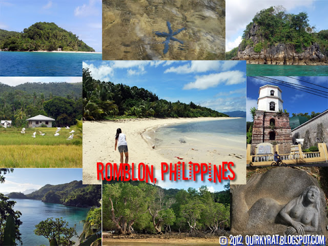 Quirky Rat : Exploring and Discovering Quirkiness.: What's Behind the ...