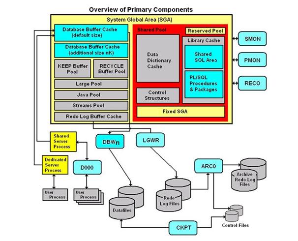 IT Genie: Oracle Architecture