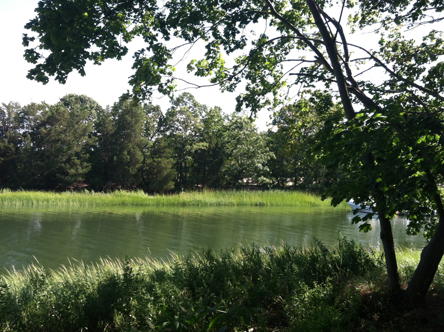 A Long Island Summer In Pictures: NISSEQUOGUE RIVER STATE PARK