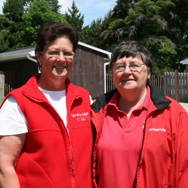 Fresh from the Farm @ Springridge